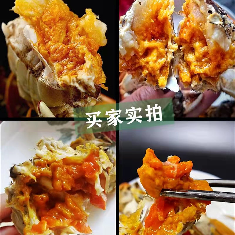 Mitten Crab – New Zealand Live Fish Market